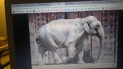 Finding Nemo Naturerules1 Remake Part 19 Off Ramp Youtube