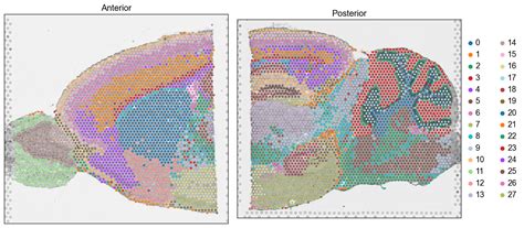 Tutorial 6 Multi Sample Integration Of Spatial Transcriptomic Mouse