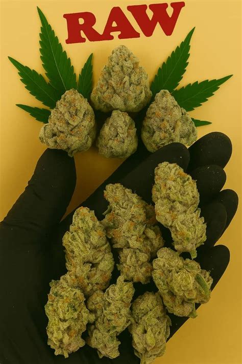 Alien Rock Candy Strain Alien Candy Strain Alien Banana Candy