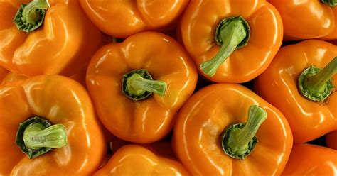 주황색 파프리카 주스 자외선에 의한 피부 손상 억제 효과