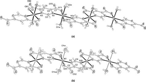 Perspective Drawings Of A Fragment Of The One Dimensional Chain A