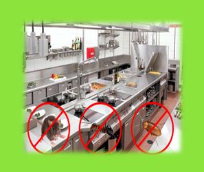 Control De Plagas Para Restaurantes 644 263 266