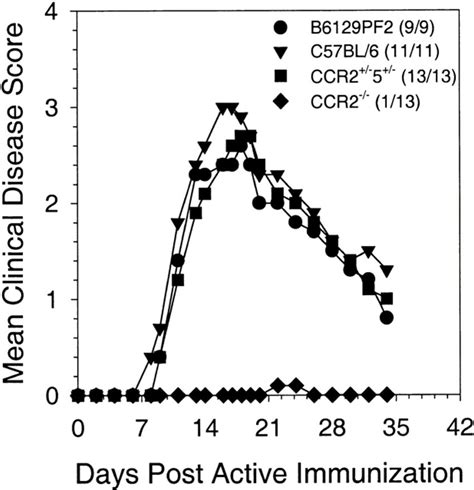 Ccr2 Deficient Mice Do Not Develop Clinical Eae Mice Were Monitored Download Scientific