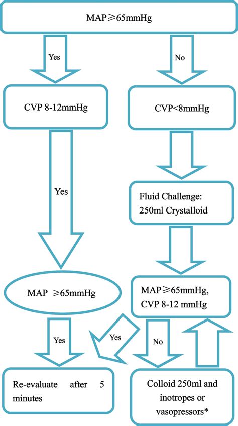 Algorithm For Fluid Therapy In The Operating Room In The Control Group