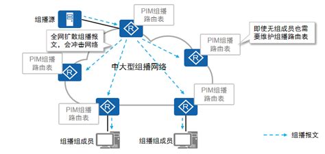 计算机网络 pim sm asm 基础 csdn博客