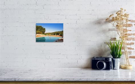 Naked Woman Next To The Swimming Pool Art Print By Nick And Lins Naked