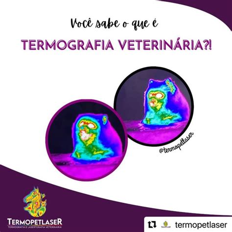 Mara Massad Posted On Linkedin