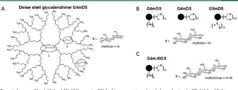 Figure 1 From Effect Of Polypropylene Imine Glycodendrimers On β