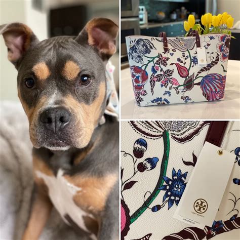 Mothers Day Raffle To Support Mackenzie Raffle Creator