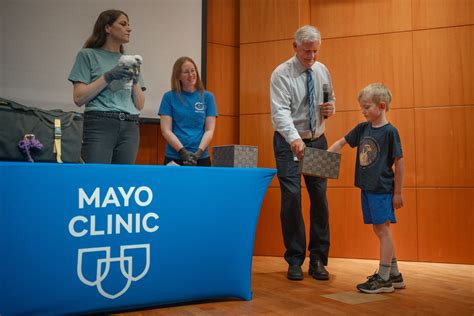 Mayo Clinic Welcomes The All Female Peregrine Falcon Class Of 2024 Post Bulletin Rochester