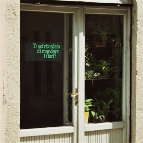 The Project About Sofia Nardi