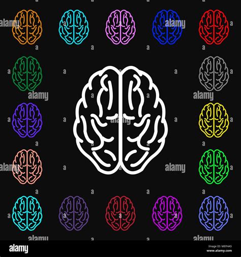 Brain Icon Sign Lots Of Colorful Symbols For Your Design Vector