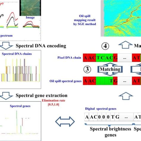 The Process Of Oil Spill Mapping By The Sge Method Download
