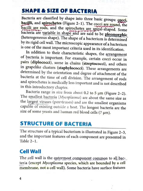 Microbiologystructure Of Bacteria Pdf