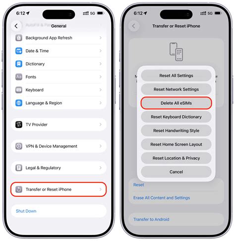 How To Set Up And Use Dual Sim Or Esim On Iphone