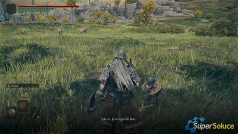 Elden Ring Npc Boc Nt 004 Game Of Guides