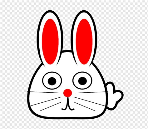 Голова Кролика Фото — Фото Картинки