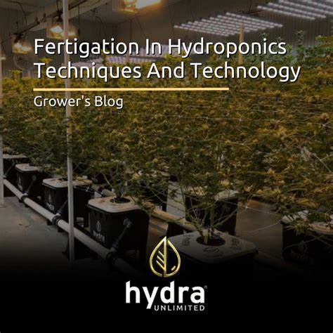 Hydra Unlimited Fertigation In Hydroponics Techniques And Technology