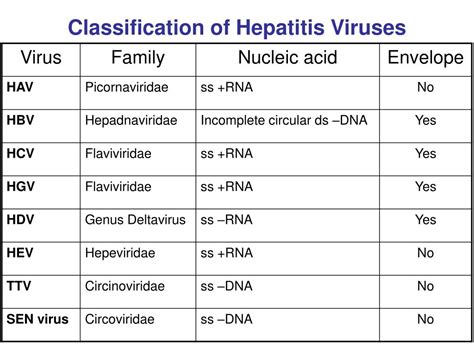 Ppt Periods And Clinical Symptoms Of Hepatitis Powerpoint Presentation Id 5070240
