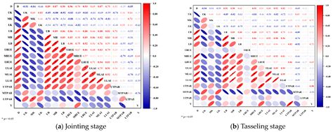Effect Of Maize Canopy Structure On Light Interception And Radiation Use Efficiency At Different