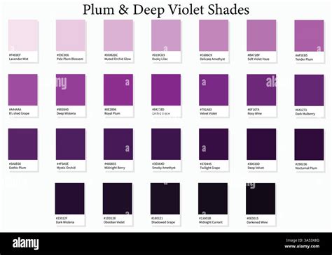Color Palette 26 Plum And Deep Violet Shades 3d Light Soft To Deep