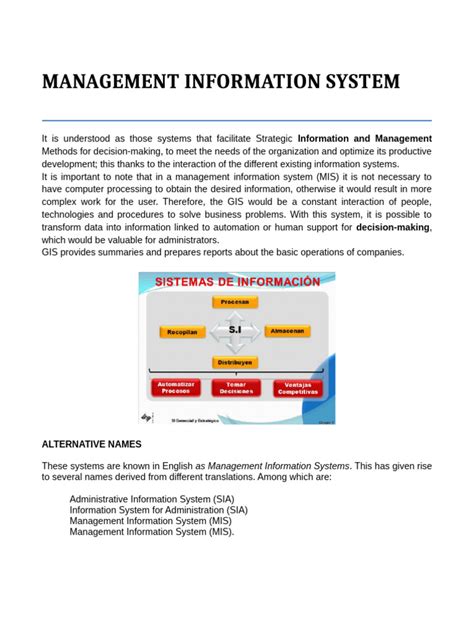 Management Information System Report Pdf Strategic Management