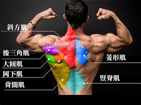 背肌訓練大全：改善假寒背！【附5有效個動作】 健康愛運動
