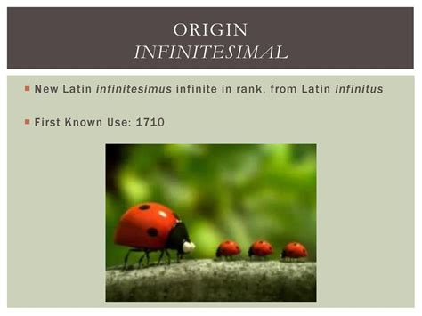 Infinitesimal Definition Infinitesimal Definition