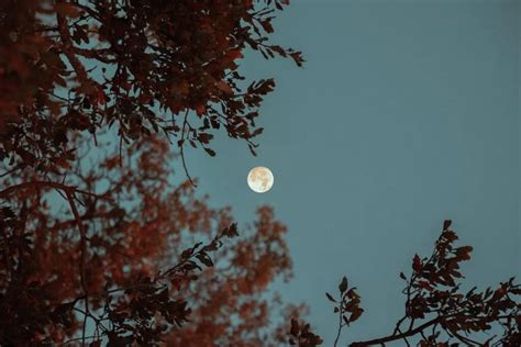 Understanding The Difference Between Algorithms And Models In Machine