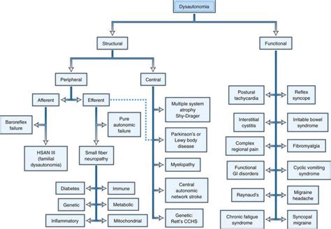 Disorders Of The Autonomic Nervous System Neupsy Key