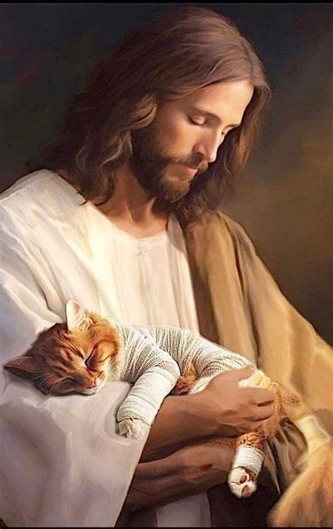 Jesus Kitty Jesus Cat Praying Jesus Hugging Cat