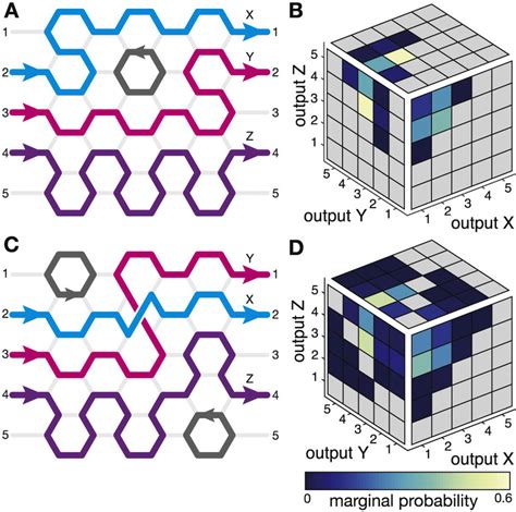 Holographic Detection Of Lattice Defects A Example Active Flow On A