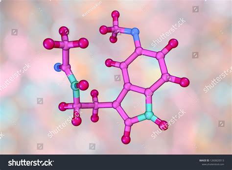 Melatonin Hormone Produced By Pineal Gland Stock Illustration