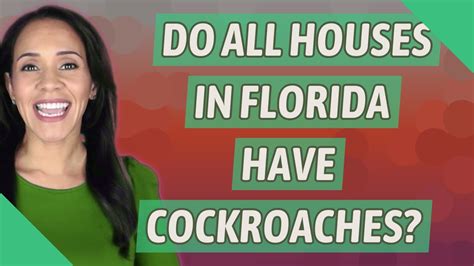 Florida Cockroach Id Guide Spot Them Before They Invade Howspruceblog