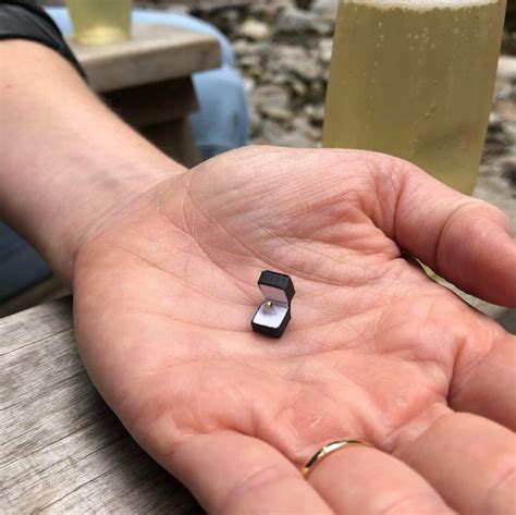 These 25 Cute And Tiny Objects Will Make Your Heart Melt