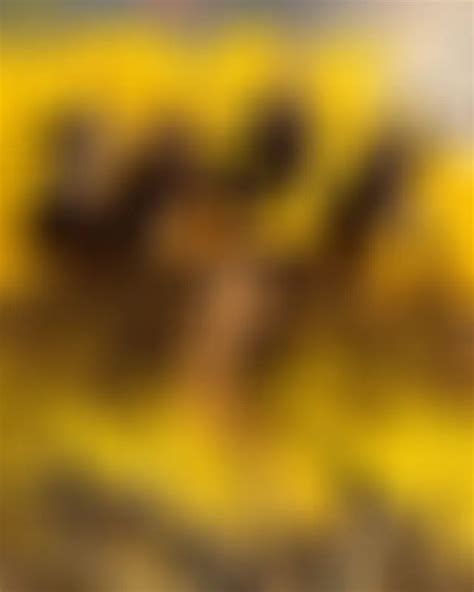 Helldivers 2 Mods Nexus Mods