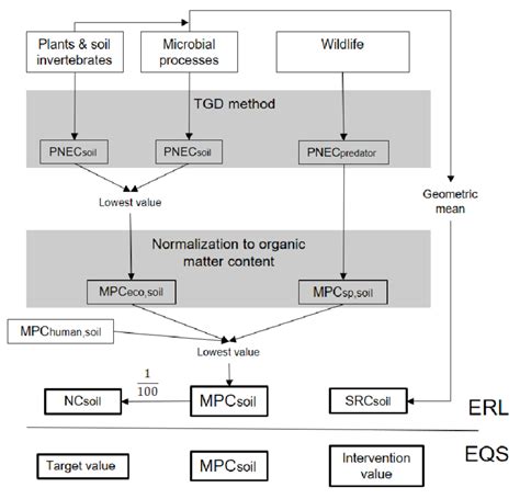 Overview Of The Dutch Derivation Method For Deriving Erls And Eqss For