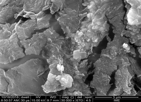 Scanning Electron Microscopy Sem Of Cross Linked Pmma Based Dental