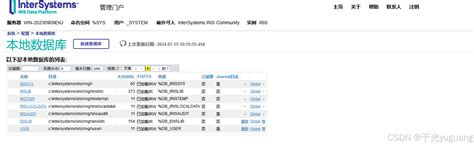 Intersystems Iris 数据库数据平台安装iris数据库安装 Csdn博客