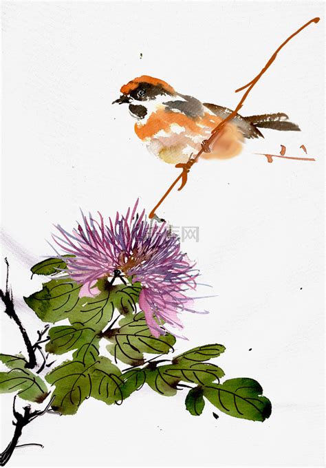 花枝上的小鸟素材图片免费下载 千库网