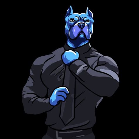 Best Base Meme Coins In 2024