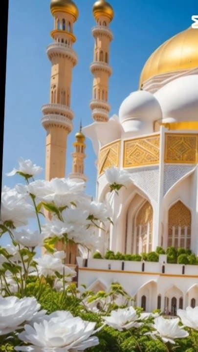 Islamic Status Islamicworld111 Youtube