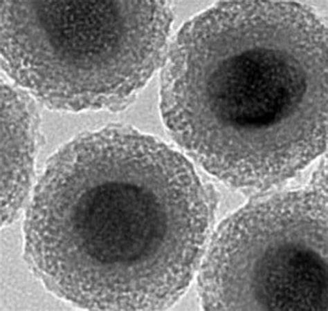 六方相naf4 （5um） Er：5 Hexagonal Phase Naf4 5 μm Er 5的应用 产品资讯 纳米药物递送系统