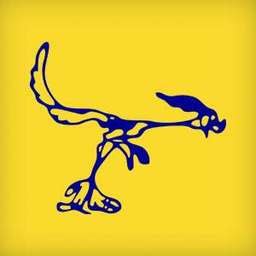 Roadrunner Lock Safe