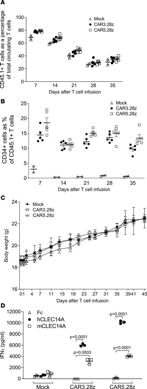 Car T Cells Targeting Tumor Endothelial Marker Clec14a Inhibit Tumor Growth Pmc