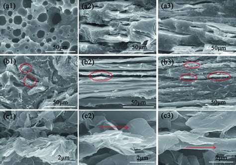 Sem Graphs Of Fracture Surfaces Of Pppmma Blend And Pppmmagraphene