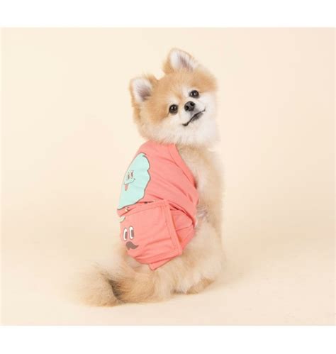 마킹방지 매너벨트 수컷 강아지기저귀 패드 S 산책 남아용 티몬