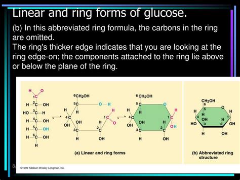 Ppt Basic Organic Chemistry Of Important Macromolecules Powerpoint