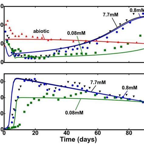 Pdf Numerical Modeling Of Arsenic Mobility During Reductive Iron
