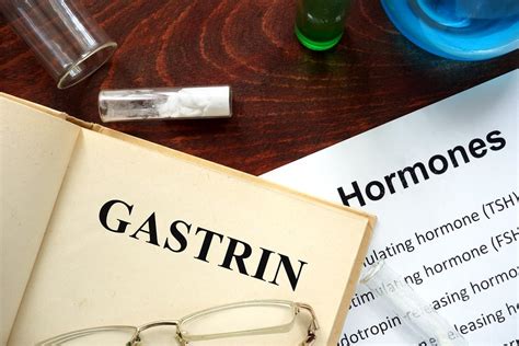Causes Of High Gastrin Levels Tests Diseases And Gut Health